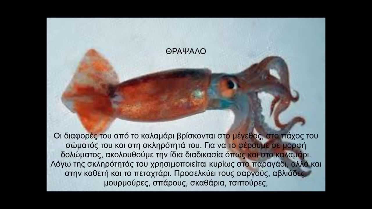 ΕΙΔΗ ΔΟΛΩΜΑΤΩΝ ΚΑΙ Η ΧΡΗΣΗ ΤΟΥΣ! - YouTube