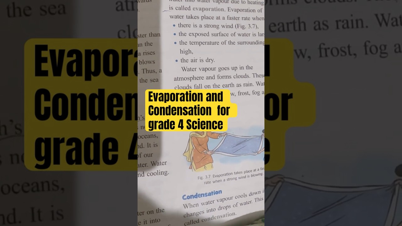 Evaporation and Condensation for grade 4 Science - YouTube