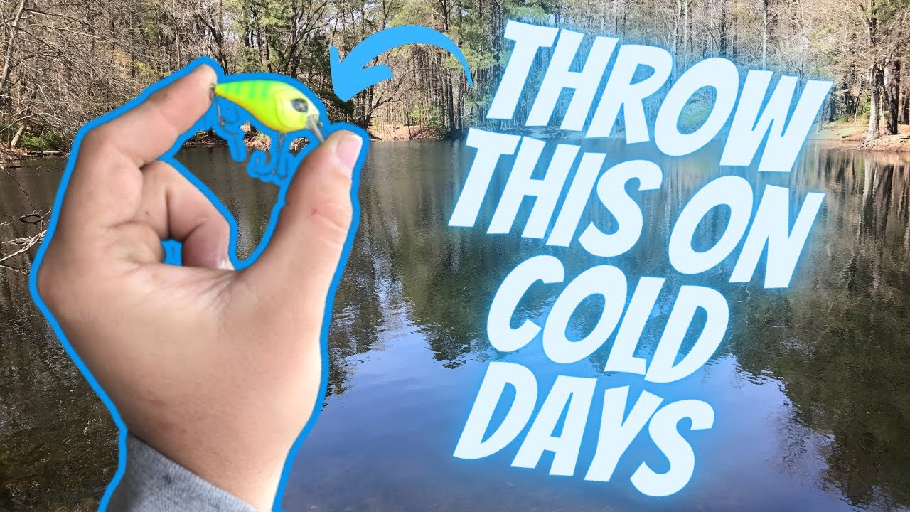 Using TINY LURES to catch COLD WATER Fish - YouTube