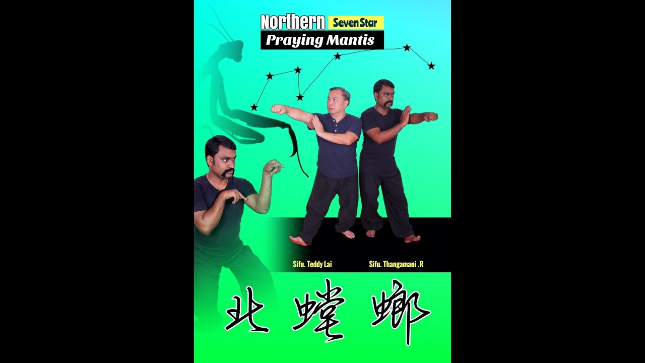 十八叟 Shi Ba Shou (18 Ancestors Fist) - Seven Star Mantis Kung Fu ...