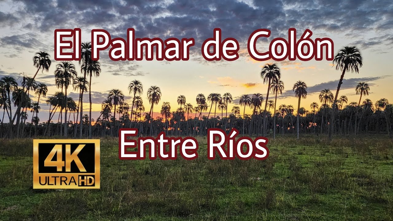 El Palmar de Colón - Entre Ríos - Drone 4k - YouTube