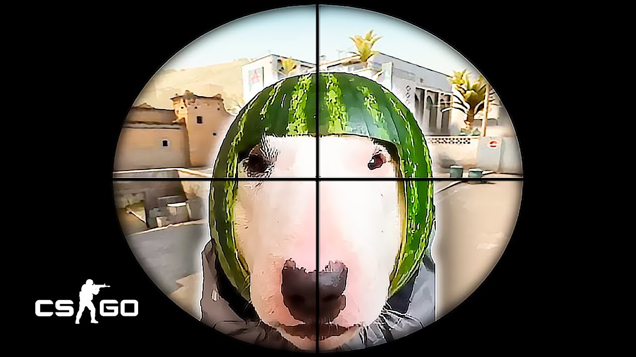 CS:GO | One Taps ao som de SHITPOST | EDIT - YouTube