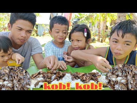 P2 Grabe!! Napakaraming Taiwan Shells sa Spot na to! Pinupulot lang ...