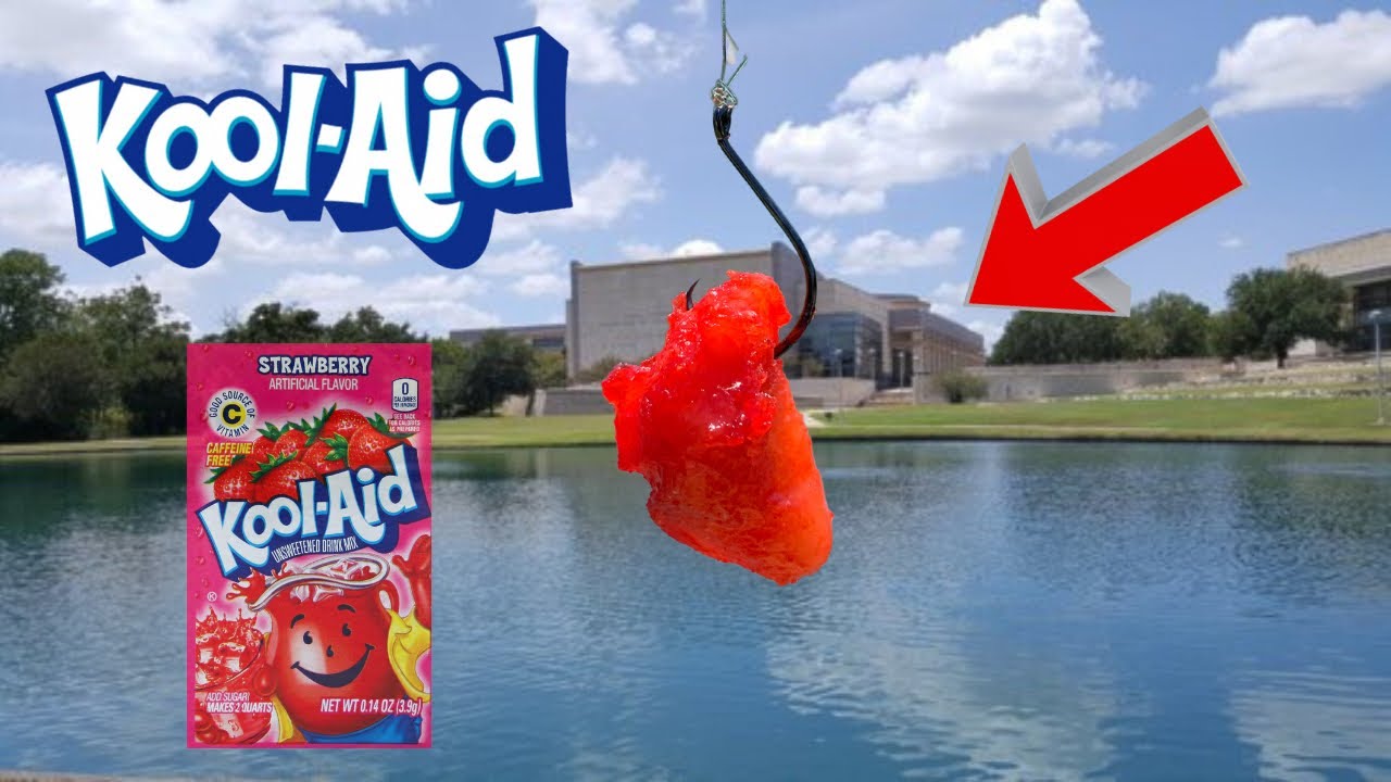Can KOOL-AID CHICKEN Catch Fish? (Unexpected Results!) - YouTube
