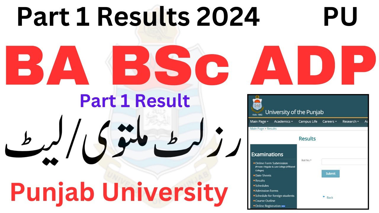 3rd Year ADP Results 2024 PU | BA BSc Part 1 Results 2024 PU | ADA ADS ...