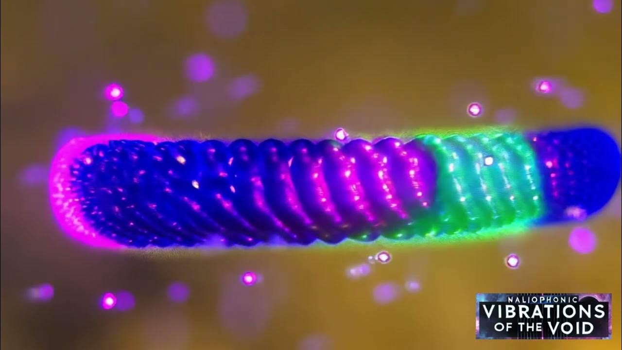 Naliophonic - Subatomic Dreams (Official Music Video) - YouTube