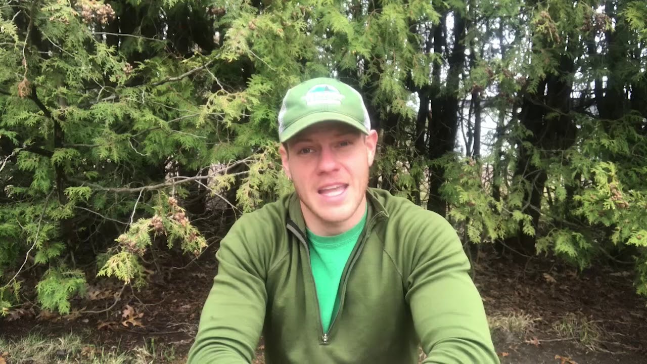 "Ask A County Forester" with Ethan Tapper - YouTube