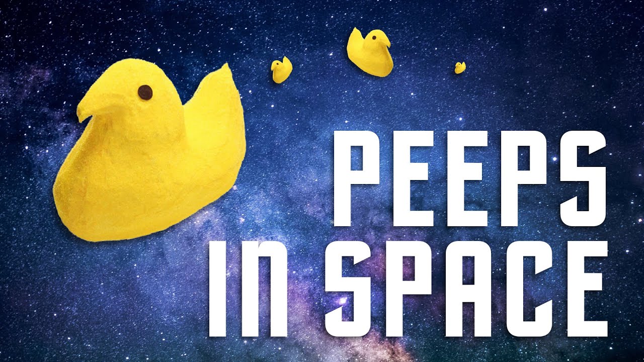 Peeps in Space - YouTube