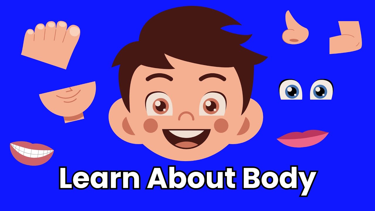 Learn About the Body | Explore the Human Body! An Interactive Learning ...