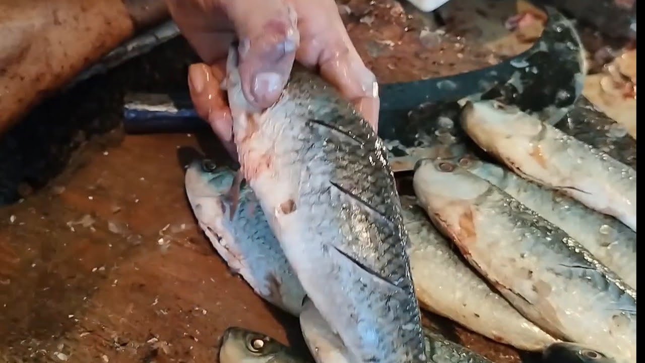 Chara pona Fish Cutting Skills India 🔥 Giant Bata Fish Cutting Style ...