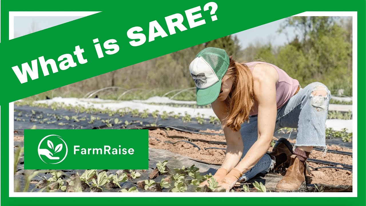 What is SARE (Sustainable Agriculture Research and Education)? - YouTube