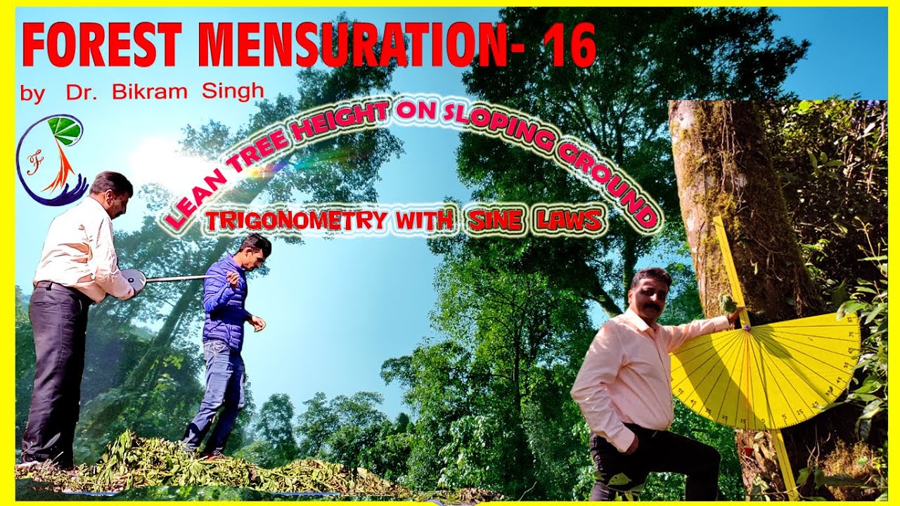 Forest Mensuration no.- 16 : Tree height of leaning tree on slope with ...