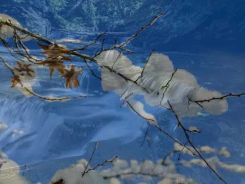 Missa Brevis in F Major (fragment) (1771) KV116 (90a) - Wolfgang Amadeus Mozart