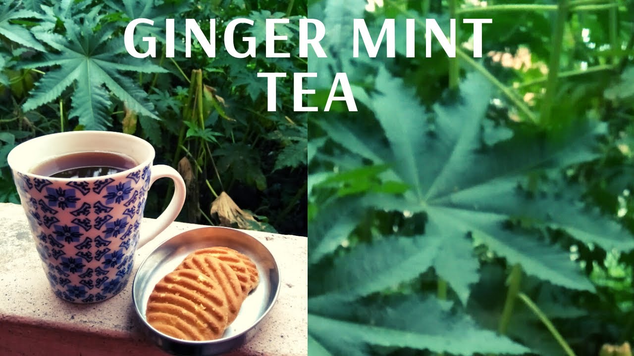 Ginger Mint Tea - YouTube