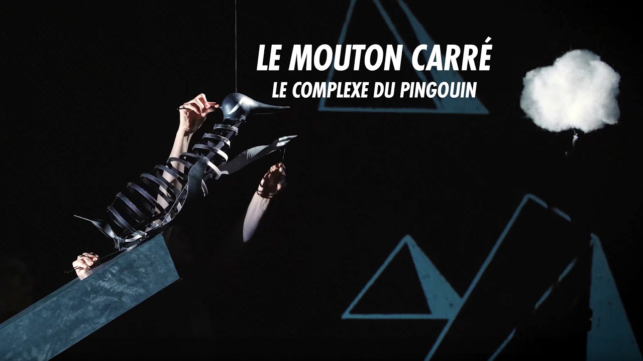 Le Complexe du Pingouin - Mouton Carrée (Teaser) - 2022 / Metlili.net - YouTube