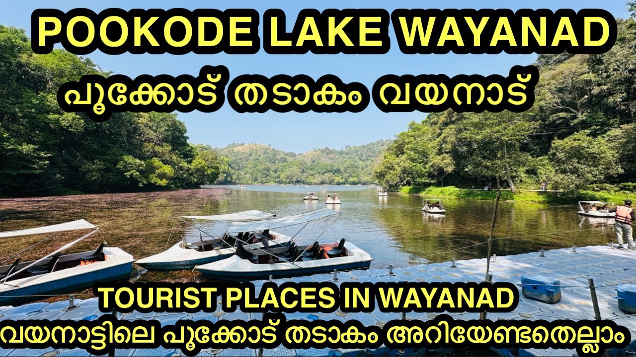 പൂക്കോട് തടാകം വയനാട് | POOKODE LAKE WAYANAD | TOURIST PLACES IN ...
