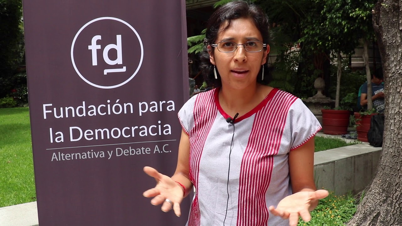 Elisa Gómez - Friedrich Ebert Stiftung - Prioridades para un Programa ...
