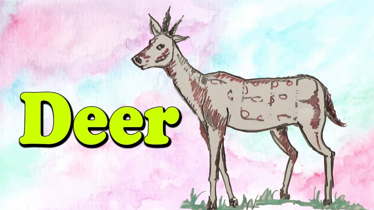 How to turn Word Deer Into Deer Cartoon for Kids | Easy Cartoon Deer ...