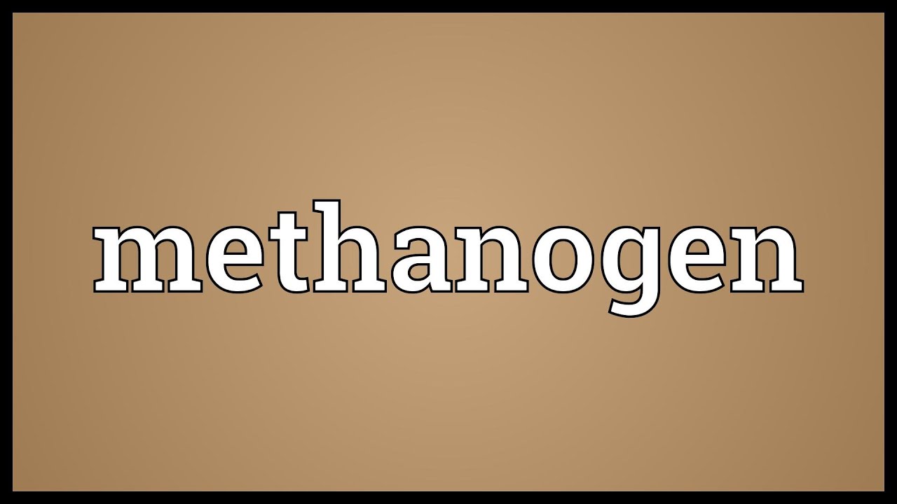 Methanogen Meaning - YouTube
