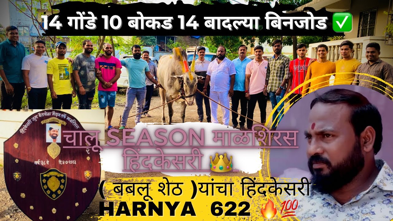 हिंदकेसरी Harnya 622 🔥💯 मुंबई मधील सर्वात मोठी बिनजोड 💫👑( बबलू शेठ ...