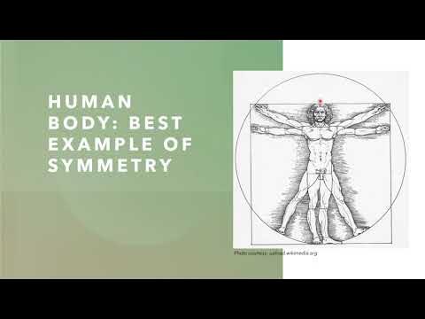 Patterns and Numbers in Nature and the World - YouTube