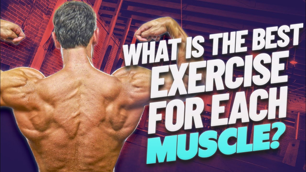 What is the Best Exercise for Each Muscle? - YouTube