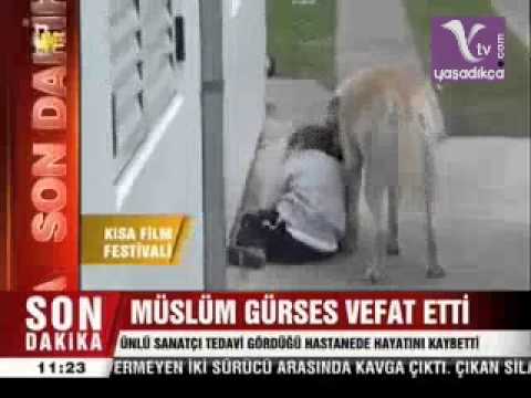 Down Sendromlu Çocuk ile Köpek