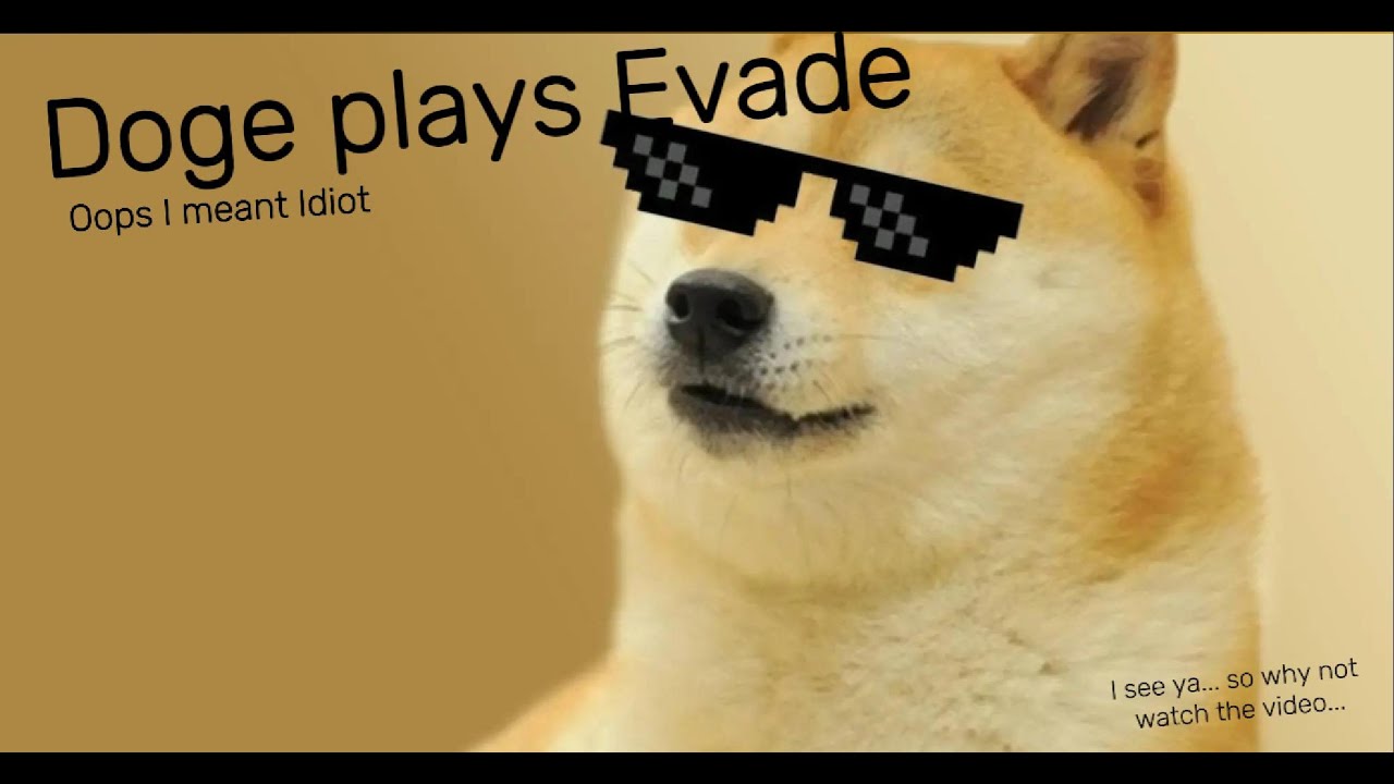 Doge Plays Roblox Evade-1 - YouTube