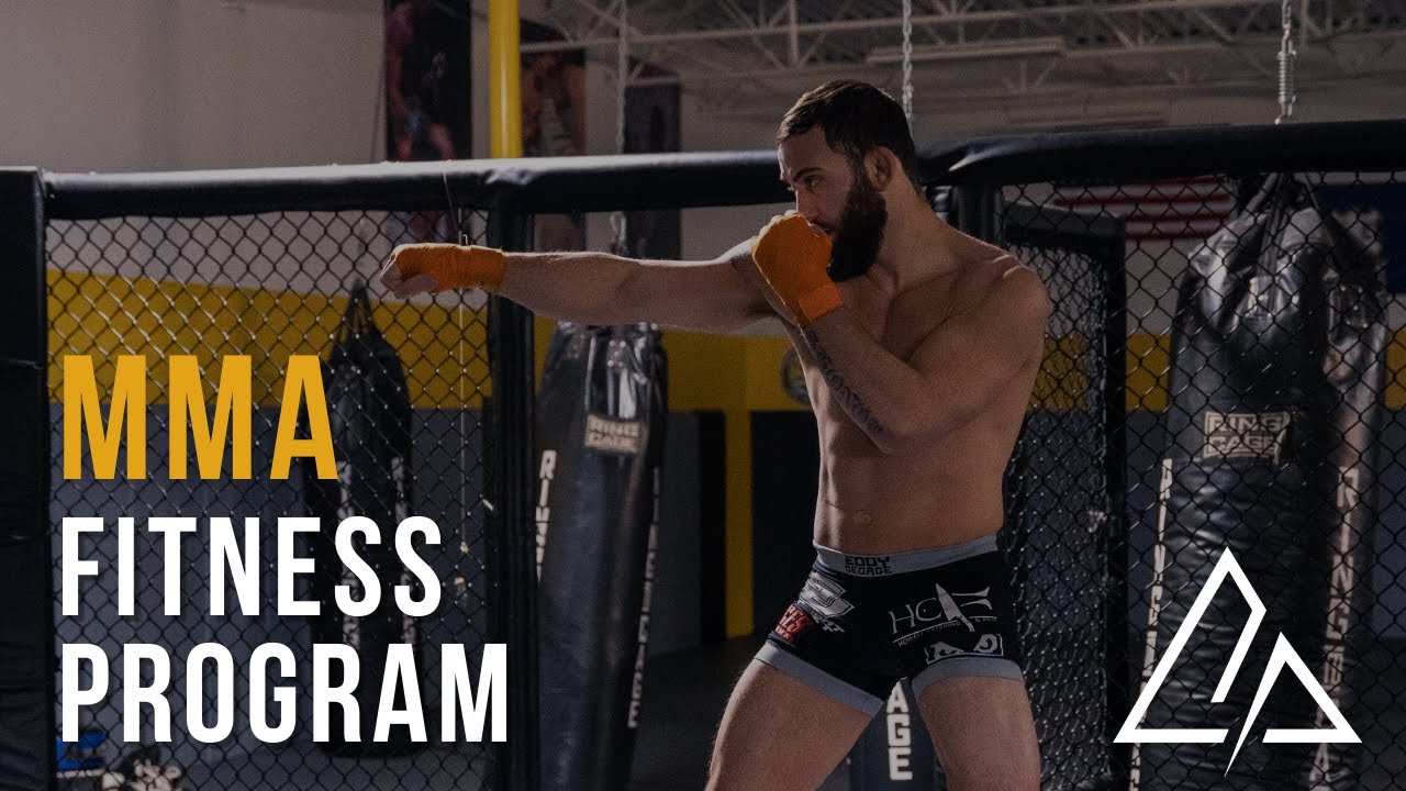 Ufc Training Program