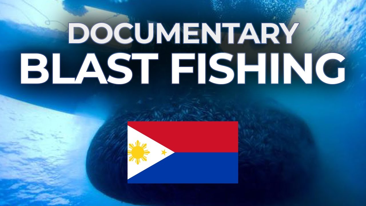 This is why nobody can stop Blast Fishing in the Philippines - YouTube