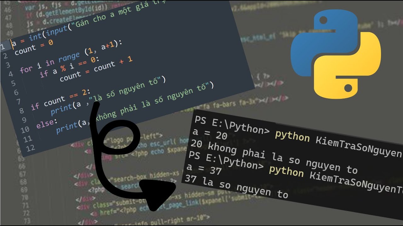 Chương Trình Kiếm Tra Số Nguyên Tố 🧑‍💻 (Coding Diary #1) - YouTube