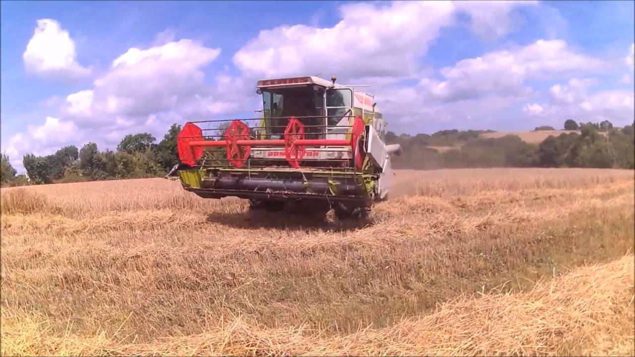 moisson 2016 - YouTube