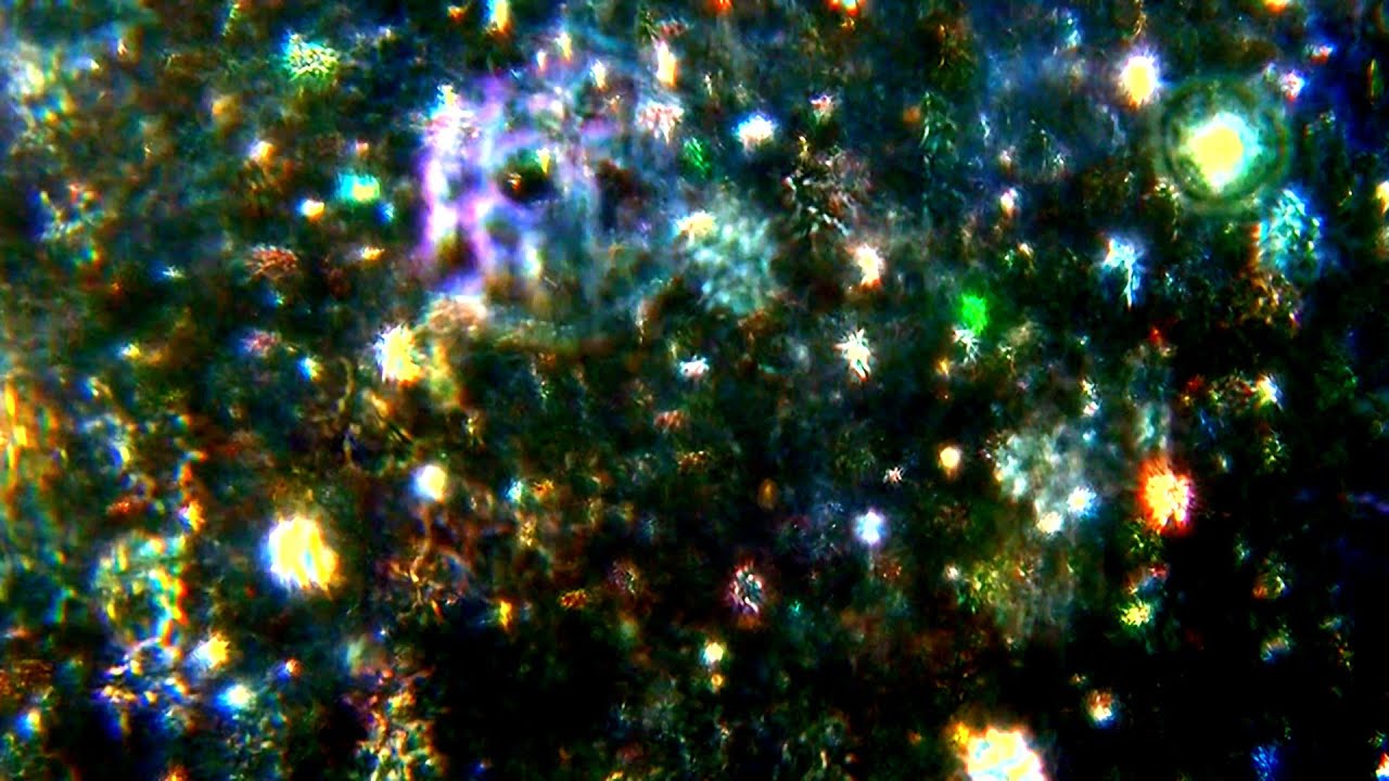 4K Visuals - Siliceous Microfossil Light Show - Radiolarians - YouTube