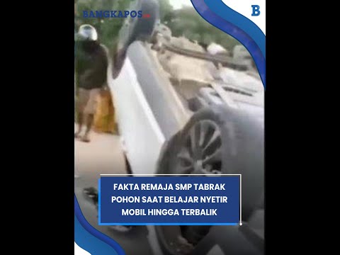 Fakta Remaja SMP Tabrak Pohon saat Belajar Nyetir Mobil, Sempat Joget hingga Klarifikasi Pemilik