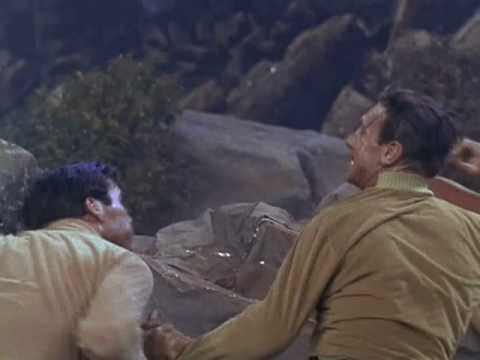 Star Trek - Fight to the Death