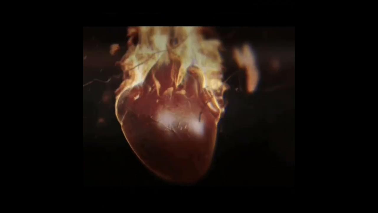 Love In War - YouTube