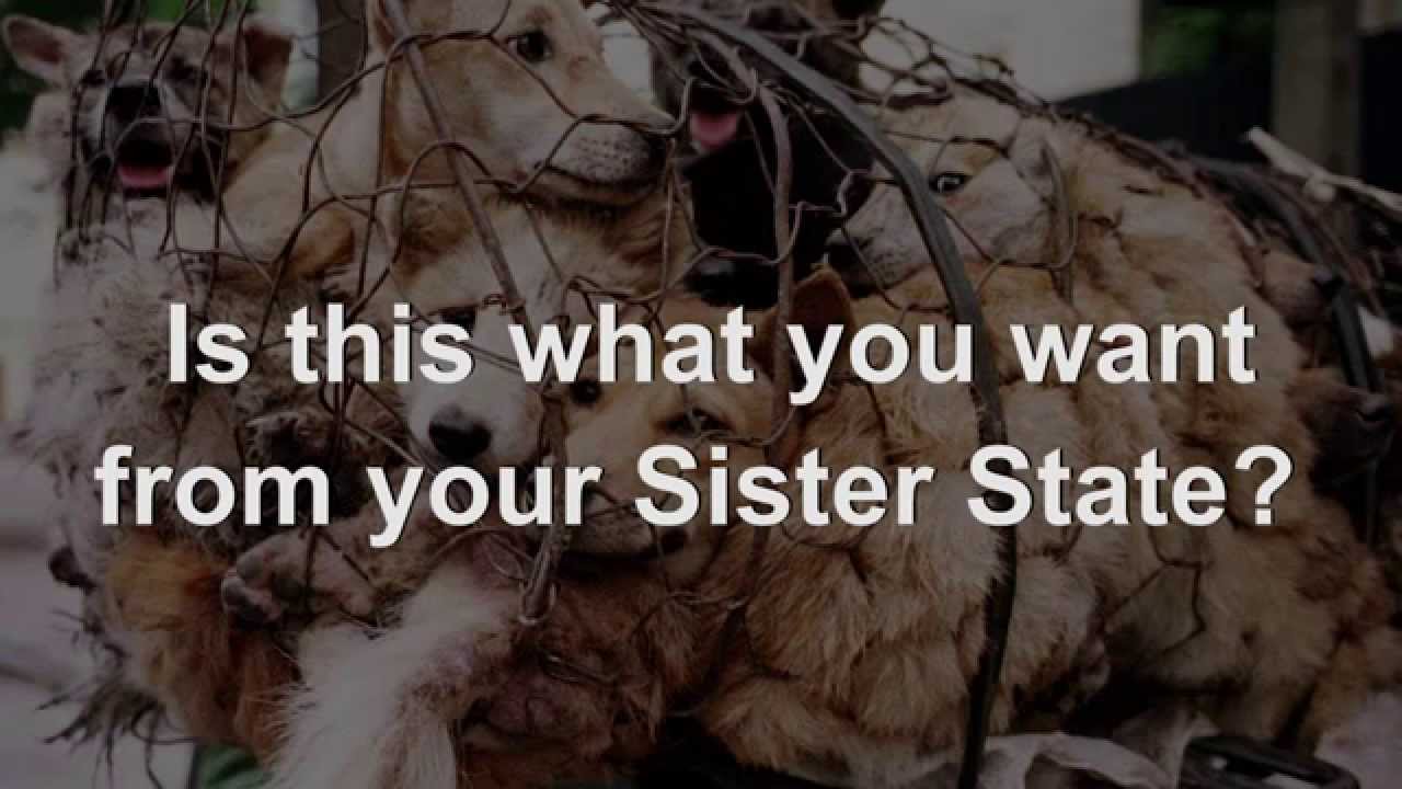Sister State Teaser - YouTube