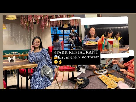 STARK RESTAURANT //First opening in Itanagar // a day in my life ...