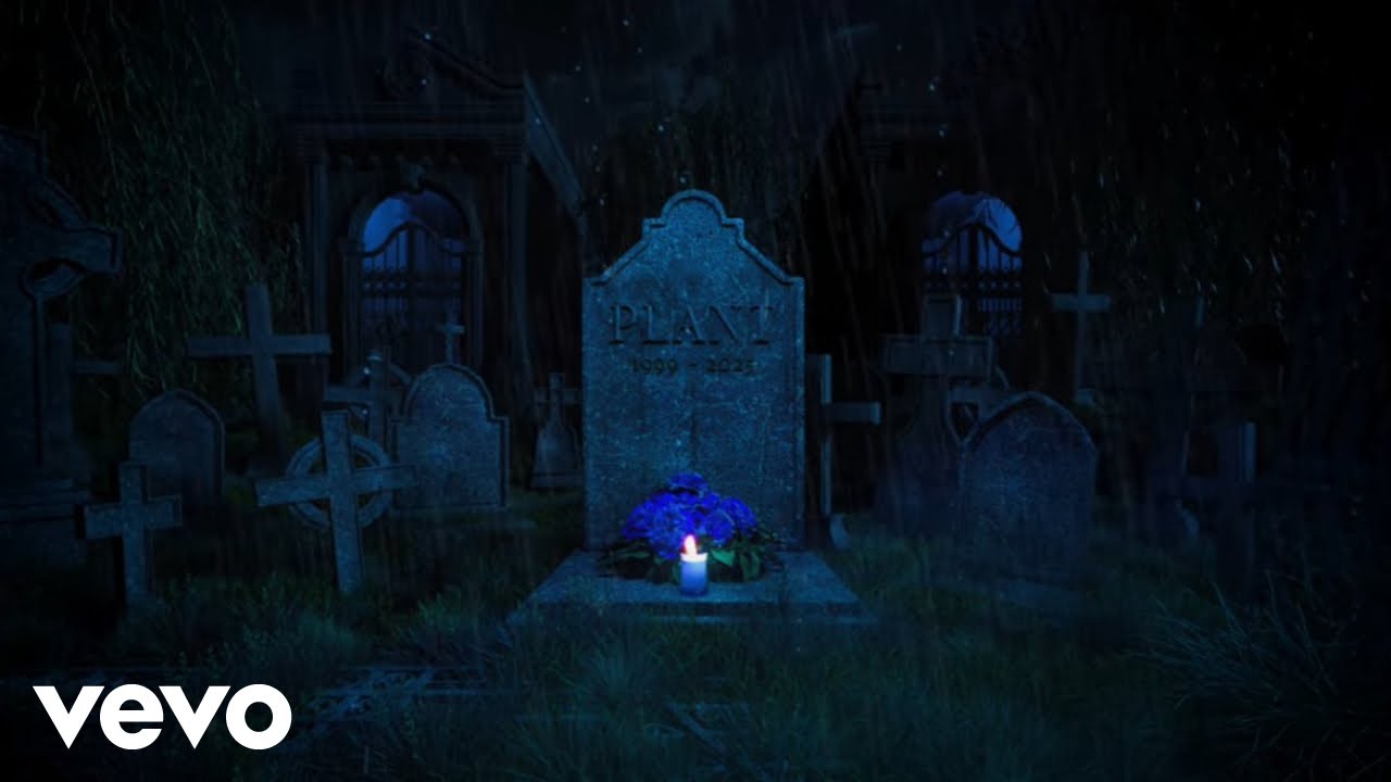 Plant - SENZA FUTURO (Visual Video) - YouTube