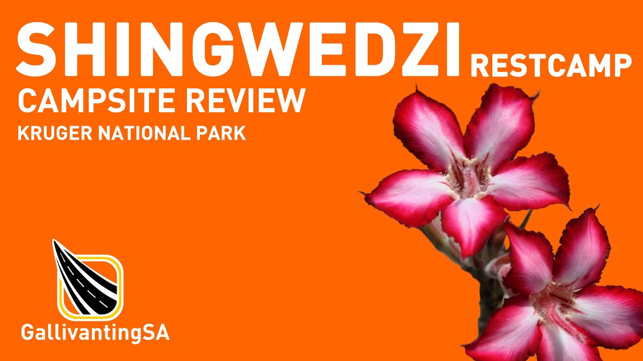 A review on Shingwedzi Restcamp in the Kruger National Park - November ...
