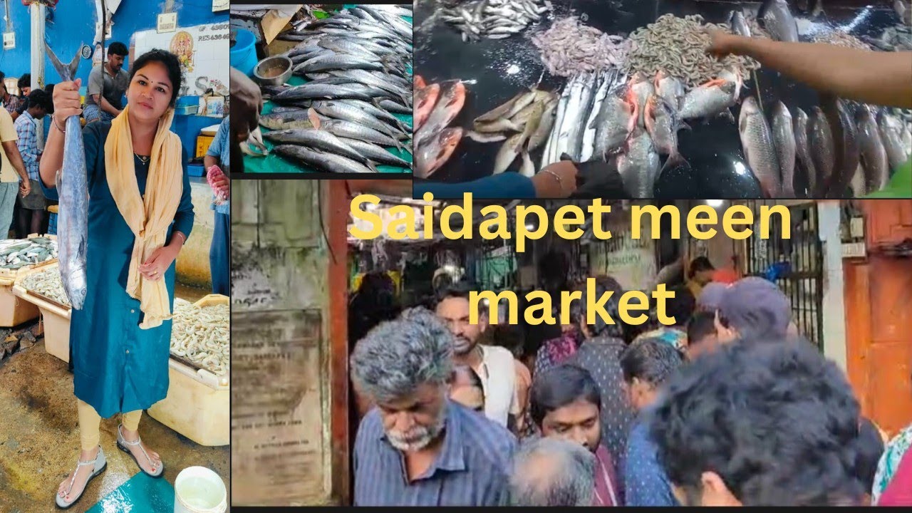 Saidapet meen market vlog ️/சைதாப்பேட்டை மீன் மார்க்கெட்/ - YouTube