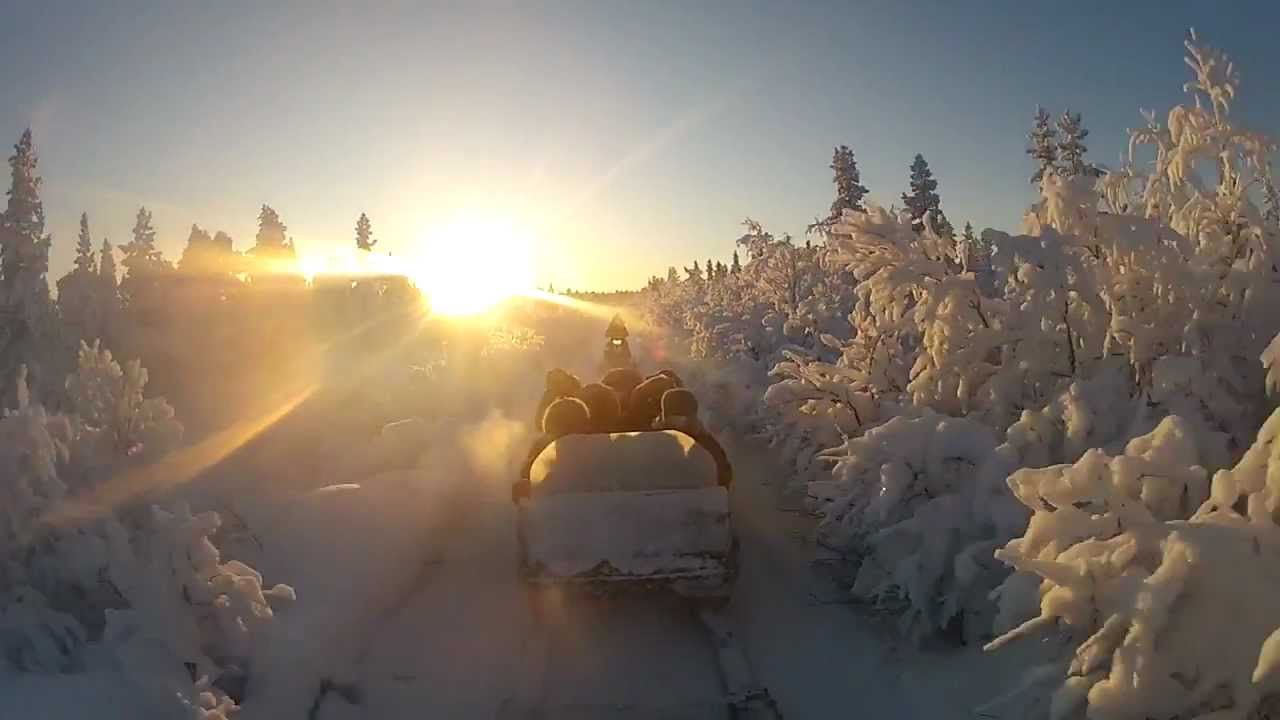 Dog-sled ride and Snowmobile tour in Kiruna Sweden (Winter 2012) - YouTube