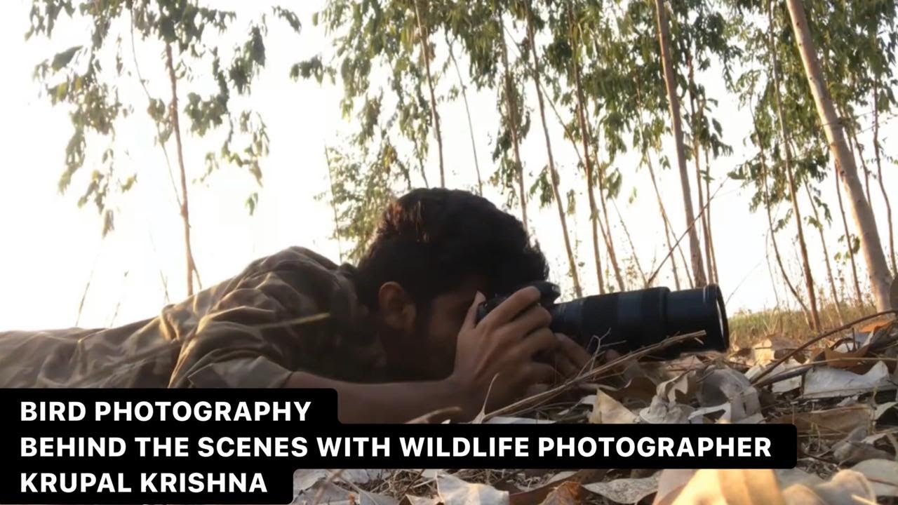 BIRD PHOTOGRAPHY IN INDIA | GoPro Hero8 Behind the scenes with wildlife photographer krupal ...