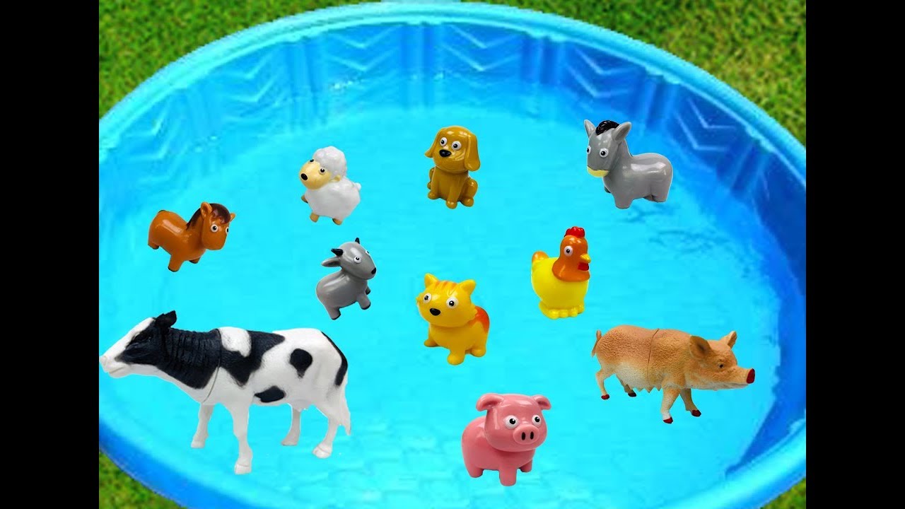 Farm Animals in Pool of Water for Babies Learning Colors - YouTube
