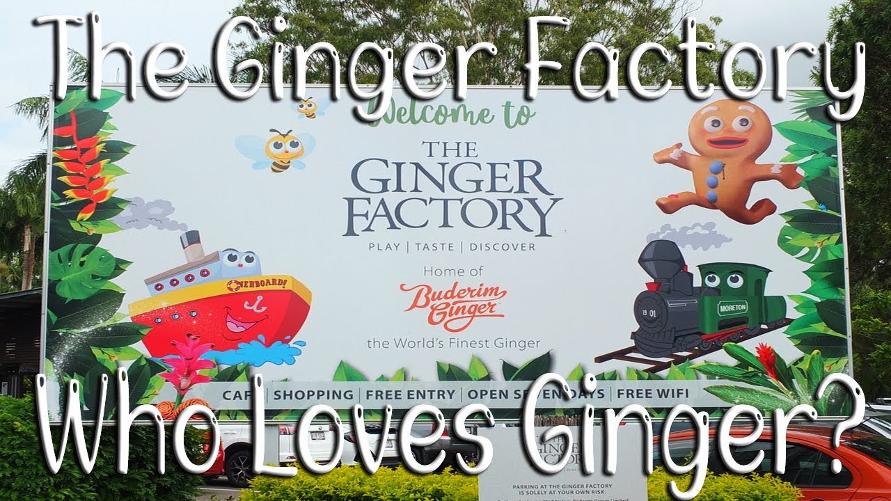 The Ginger Factory Sunshine Coast - YouTube