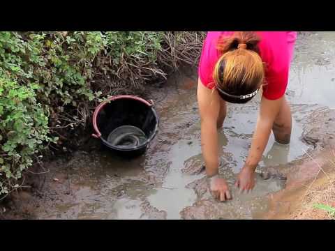 Kamboçyalı Genç Kızdan Geleneksel Balık Avı