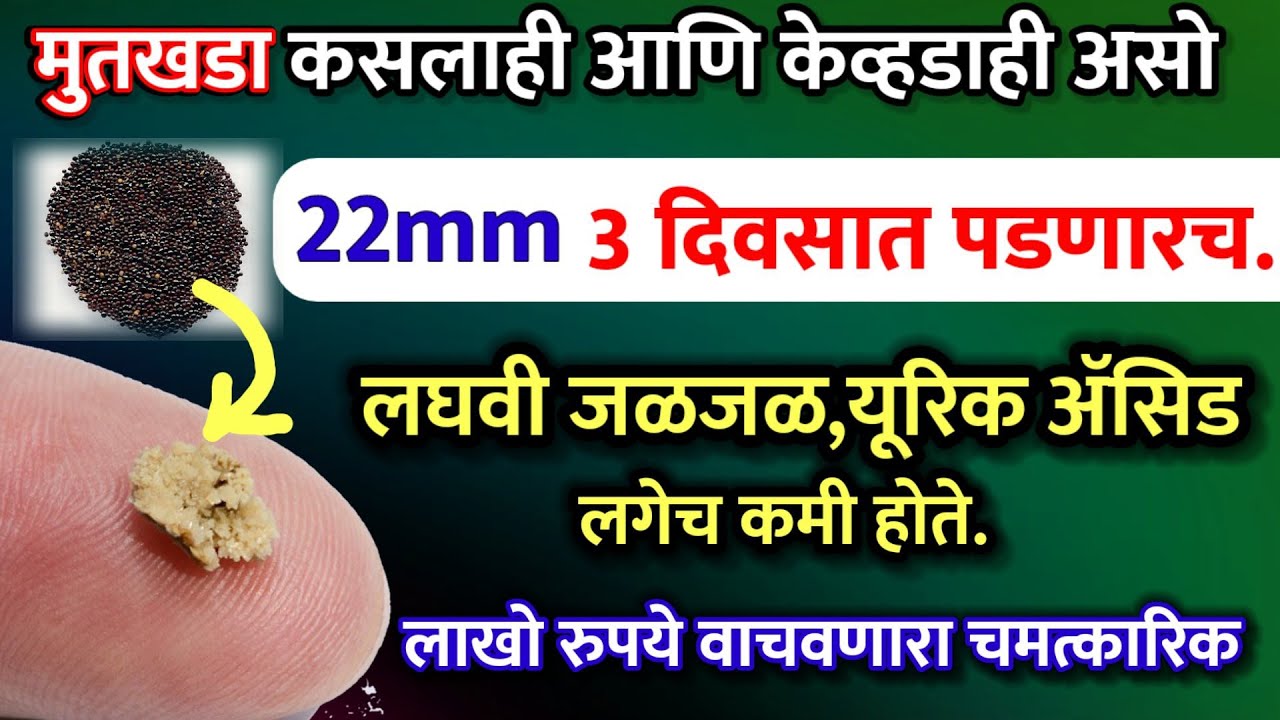 20 mm मुतखडा 3 दिवसात चुरा करुन बाहेर काढते ही वनस्पती, मिळाली तर लगेच ...