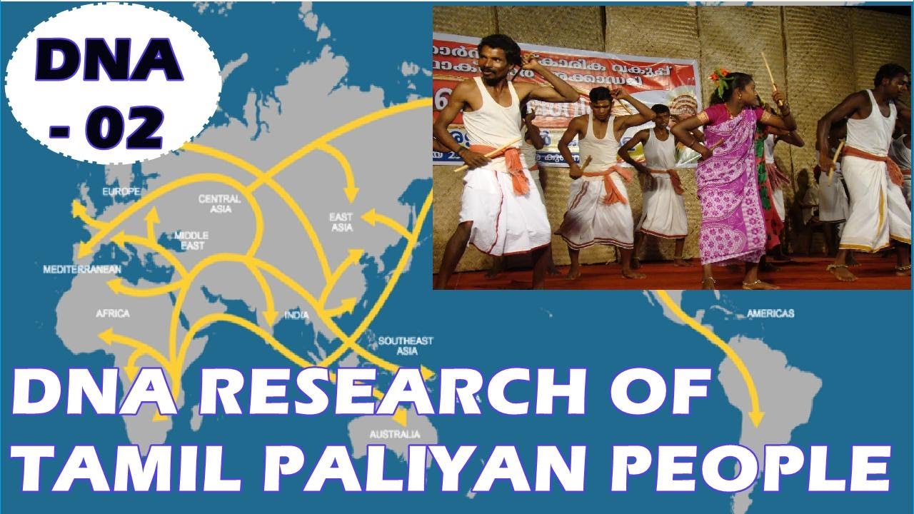 Ancient Dna Found Tamil Paliyan Tribals| DNA Research_02 | உலகின் மூத்த ...