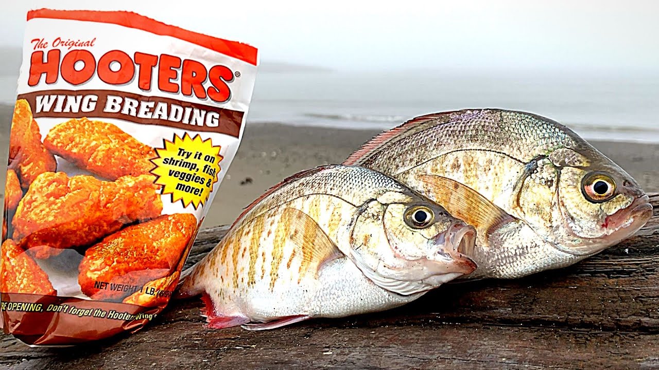 SURF PERCH Catch & Cook | HOOTERS Style!!! Washington Coast - YouTube
