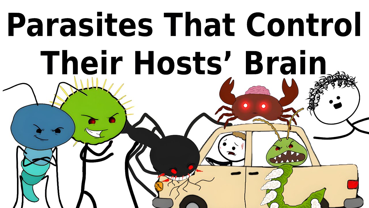 Parasites That Control Their Hosts' Brain - YouTube